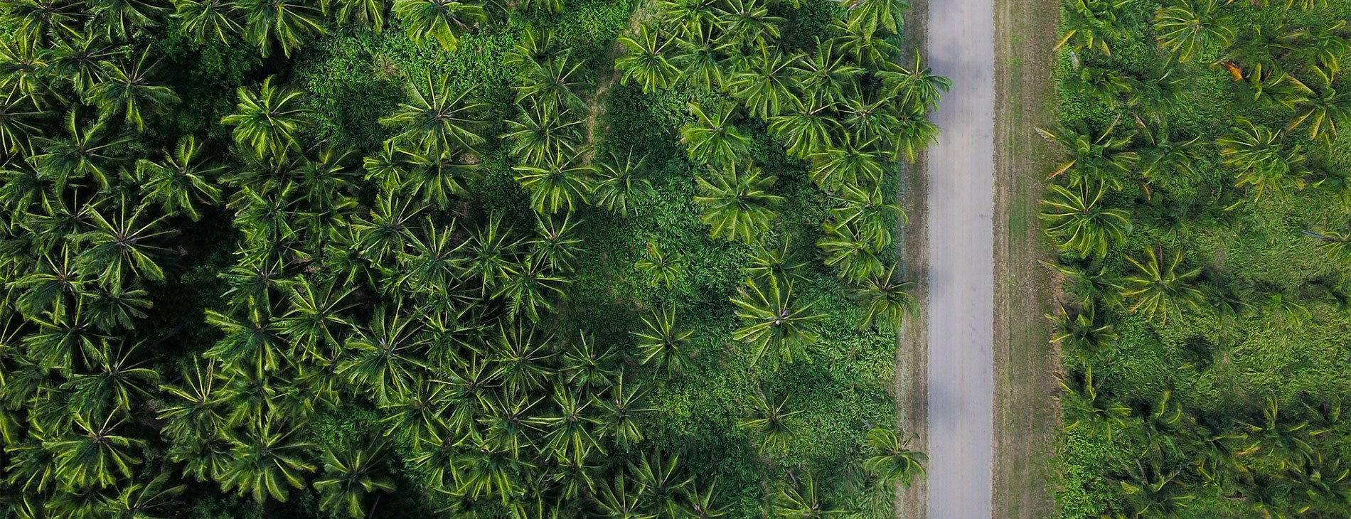 Atlantis Caps Australia